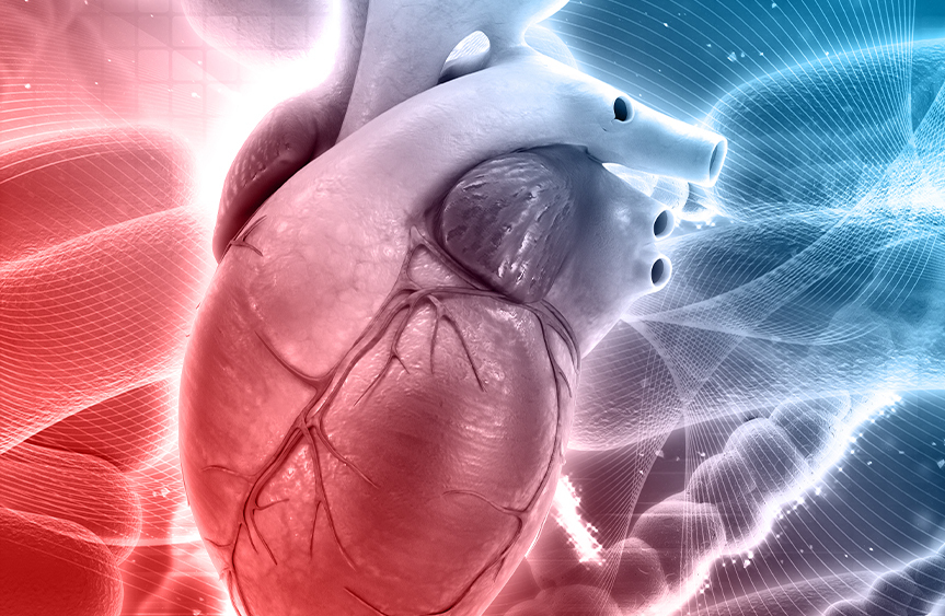 Cintilografia do Miocárdio: você sabe quando é indicada e para o que ...